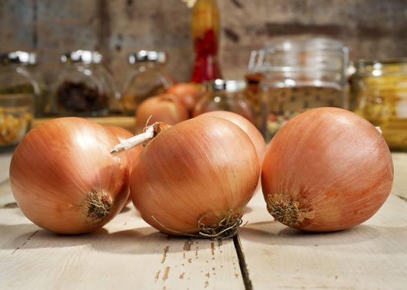 6 Foods To Never Feed Your Pet