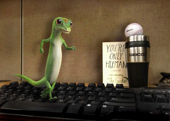 Geico Lizard Pets