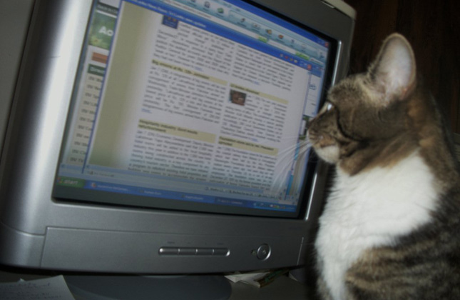 The Polite Pet's Guide to Take Your Pet to Work Week